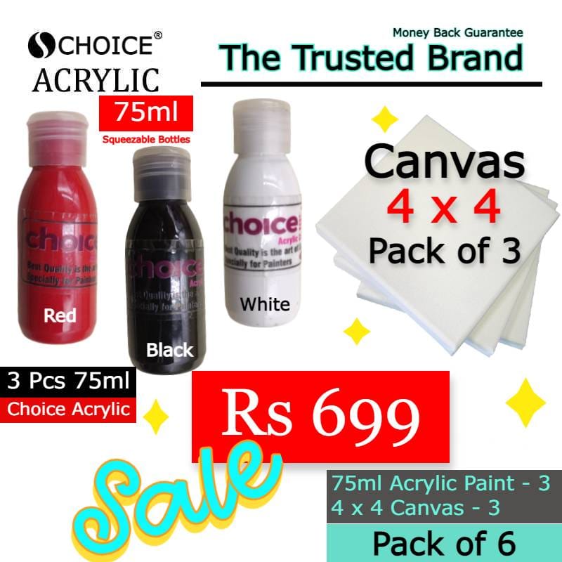 Art Pack 3 Acrylic Paint (75ml) + 4x4" Canvas – Basics.pk