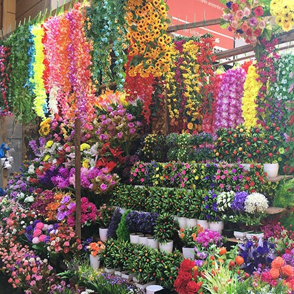 Flowers – Basics.pk